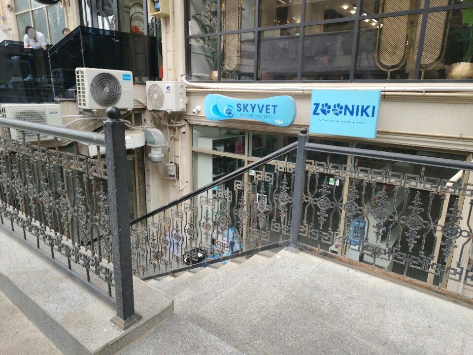 Veteriner klinikleri Skyvet, Bakü, foto