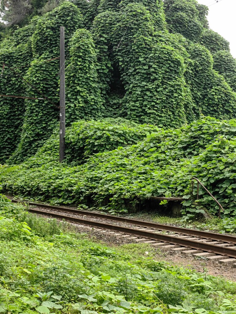 Yük istasyonu Tsikhisdziri Station, , foto
