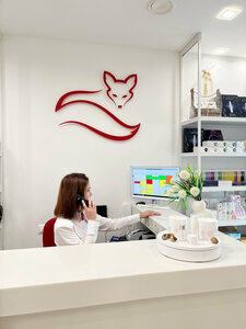White Fox (alleya Khudozhnikov No:102, derevnya Chesnokovo), güzellik salonu  Moskova ve Moskovskaya oblastından