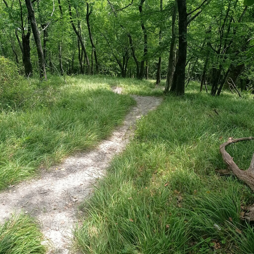 Bilim araştırma enstitüsü Zapadno-kavkazsky nauchny tsentr, Tuapse, foto