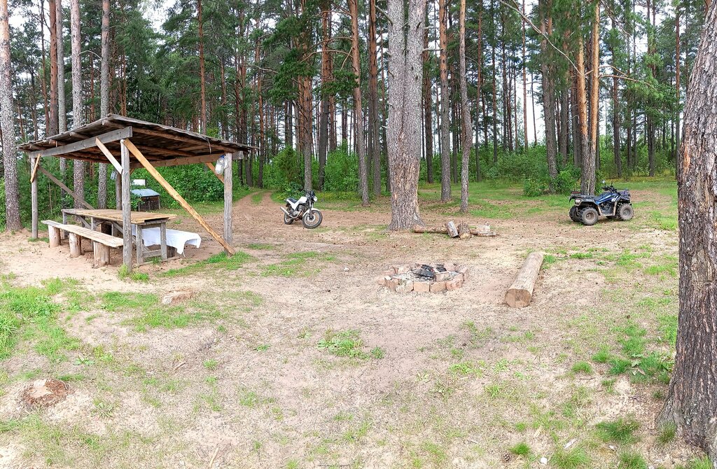 Seyir terası Observation deck, Vologodskaya oblastı, foto