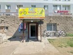 Md Service (Qabanbaı Batyr dańǵyly No:40), spor malzemeleri tamiri  Astana'dan