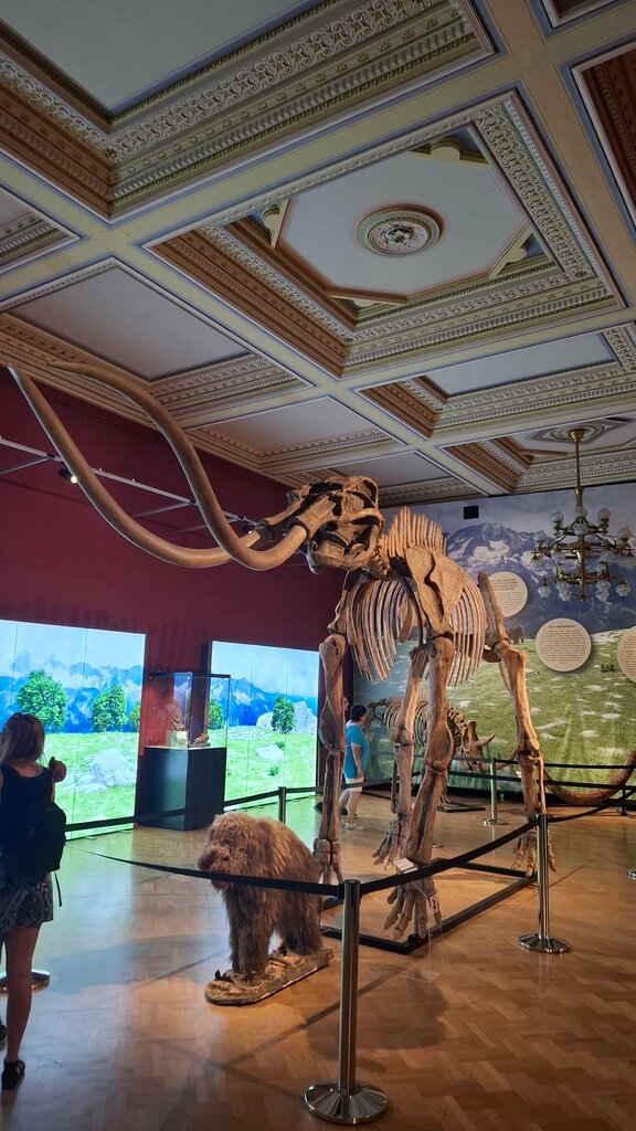 Müzeler ve sanat galerileri Móra Ferenc Múzeum, Szeged, foto