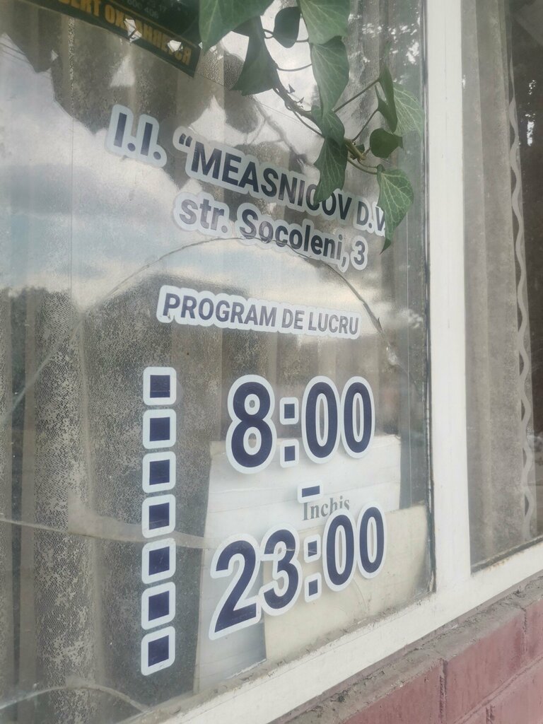 Bar Measnicov D. V., Kişinev, foto