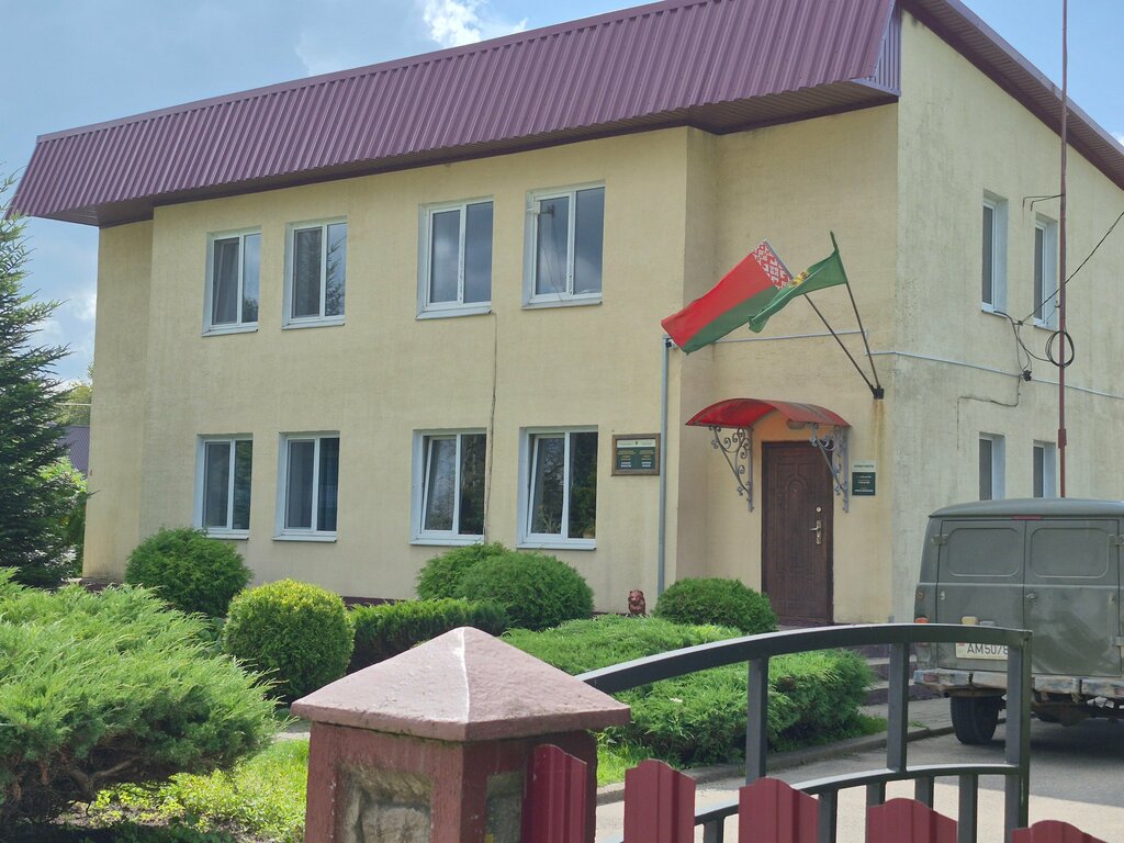 Orman işleri Palushskoye Lesnichestvo GLKhU Ostrovetsky leskhoz, Grodnenskaya oblastı, foto