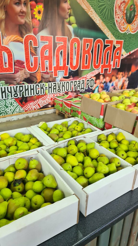 Sera ve bahçe ürünleri Садовый центр Снежеток, Tambovskaya oblastı, foto