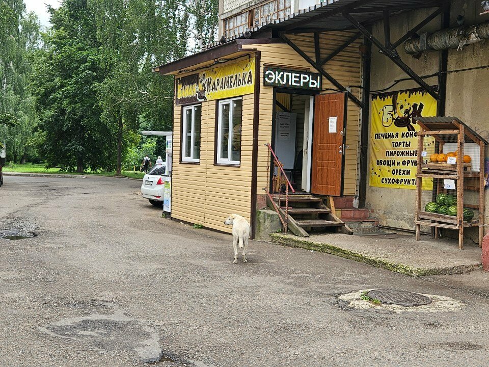 Kuruyemiş, atıştırmalık, kuru meyve Банан и Карамелька, Orel, foto