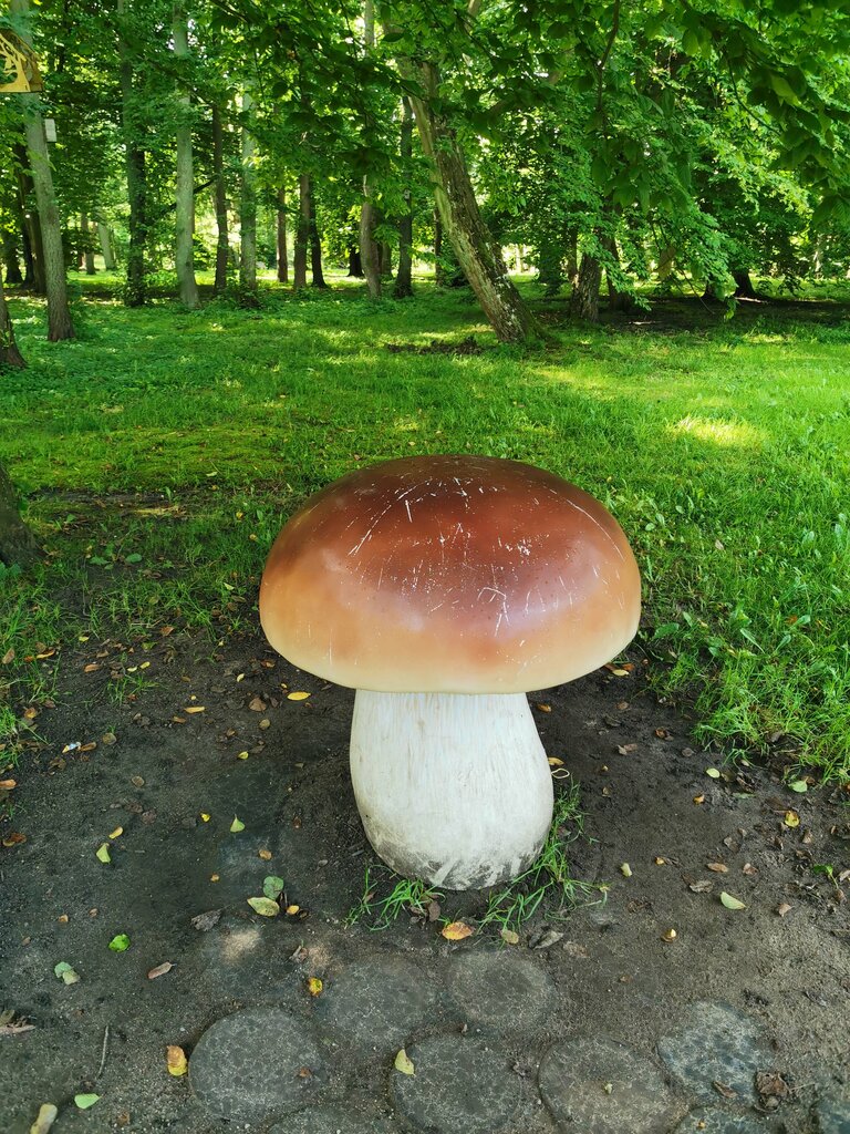 Park, sokak heykeli Белый гриб, Zelenogradsk, foto