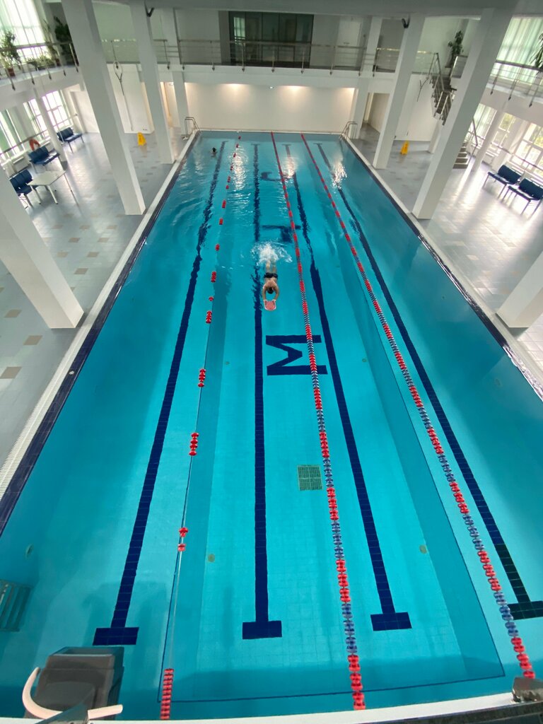 Yüzme okulu Свим Свим, Moskova, foto