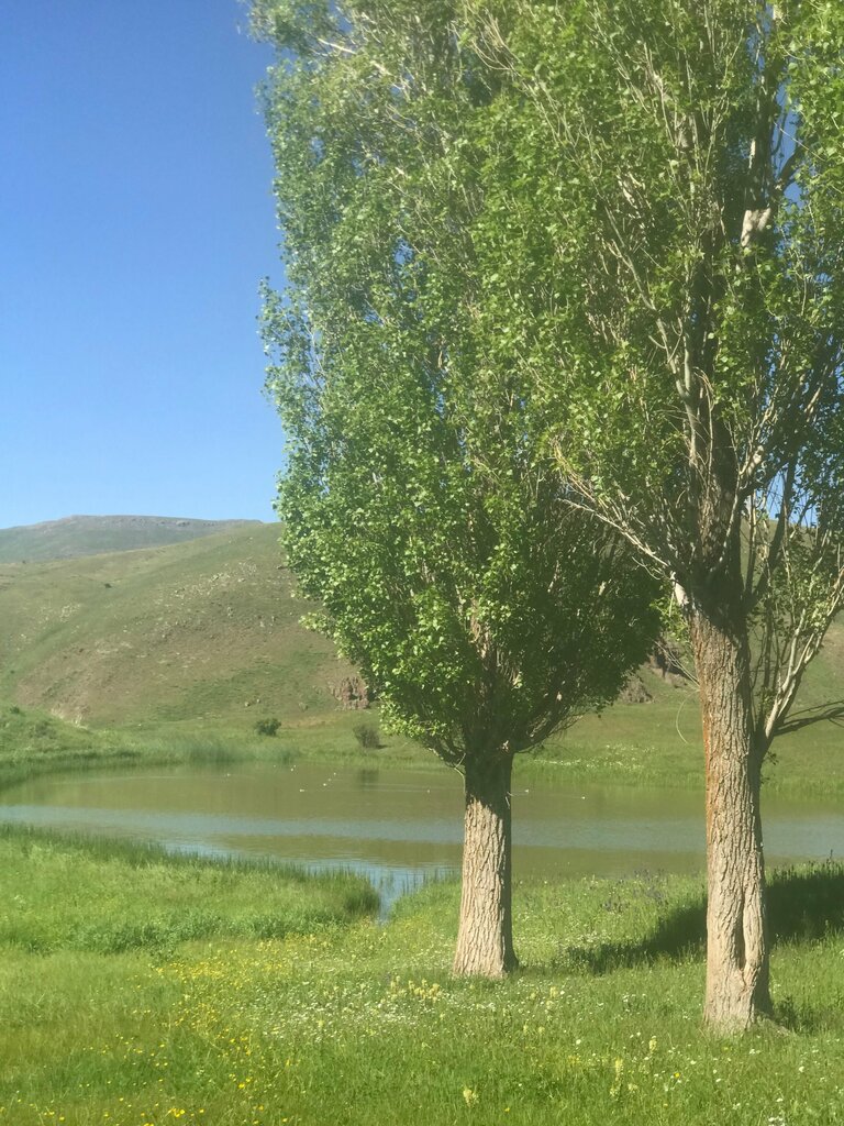 Cami Nahiye Gölören Mahallesi Cami, Aşkale, foto