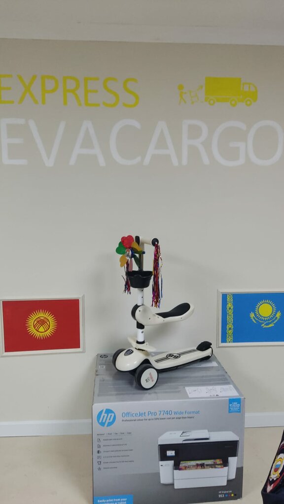 Lojistik firmaları Evacargo, Saint‑Petersburg, foto