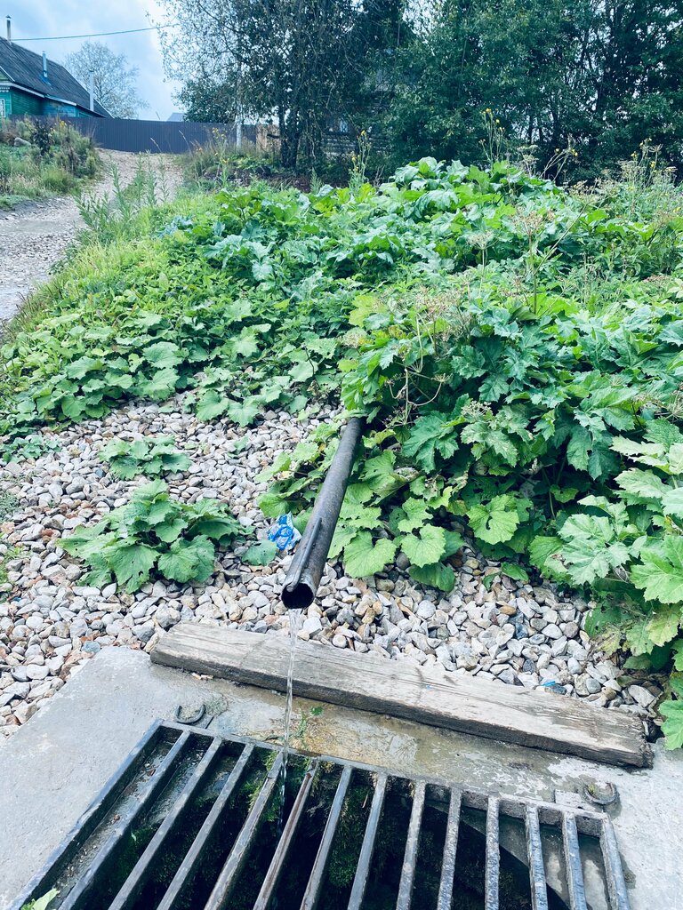 Pınar, çay Spring, stream, Andreapol, foto