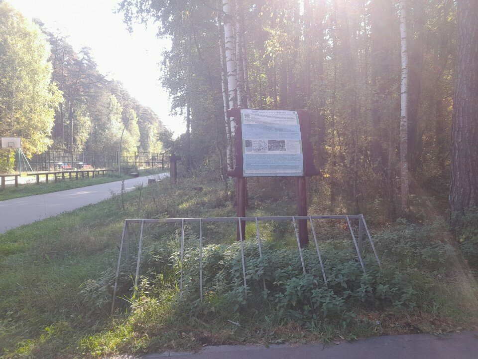 Bisiklet park yerleri Bicycle parking, Perm, foto