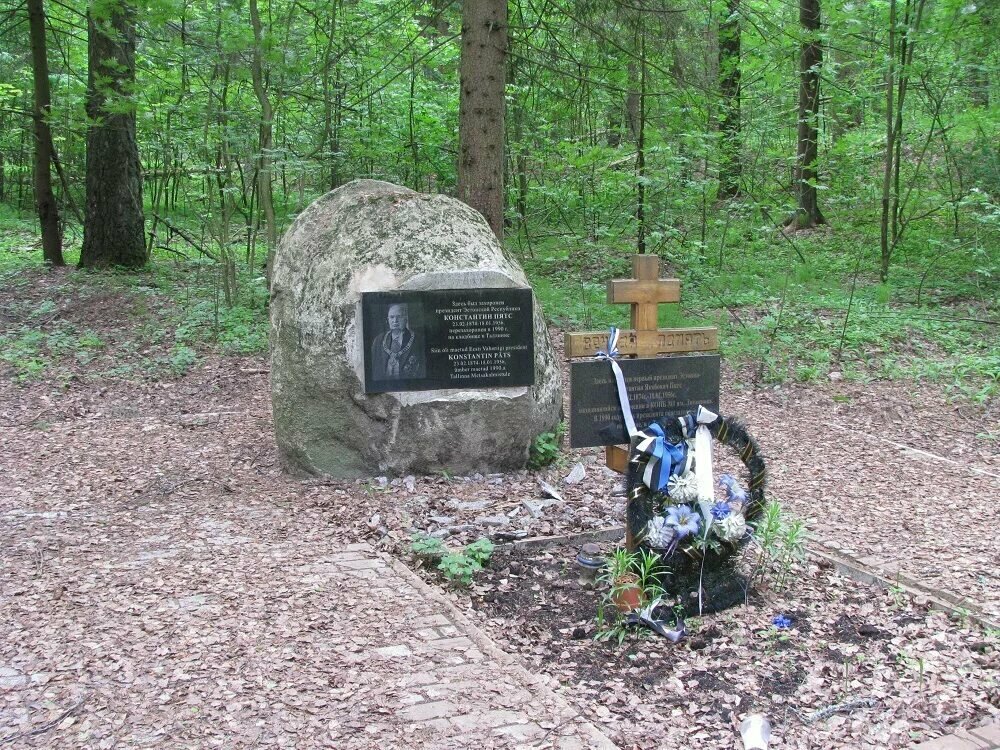 Anıt, heykel Здесь был захоронен первый президент Эстонской Республики Константина Пятса, Tverskaya oblastı, foto