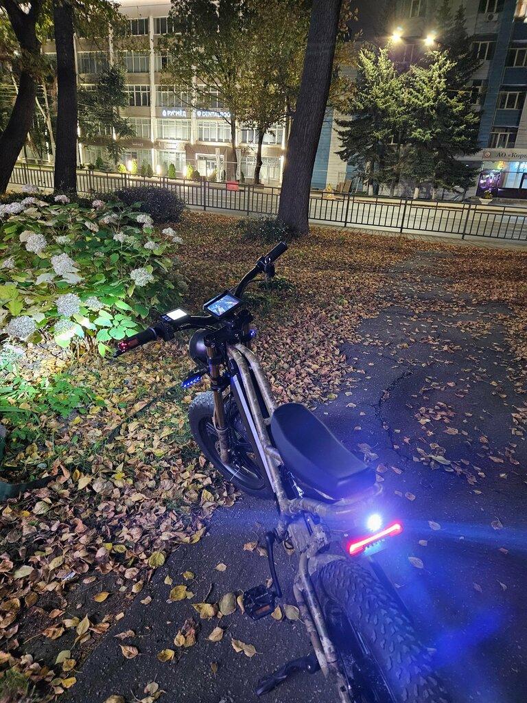 Kişisel elektrikli araç tamiri Drez Scout, Nijni Novgorod, foto