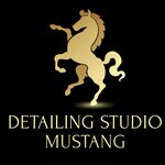 Мустанг (ulitsa Shchorsa No:5), oto yıkama  Novosibirsk'ten