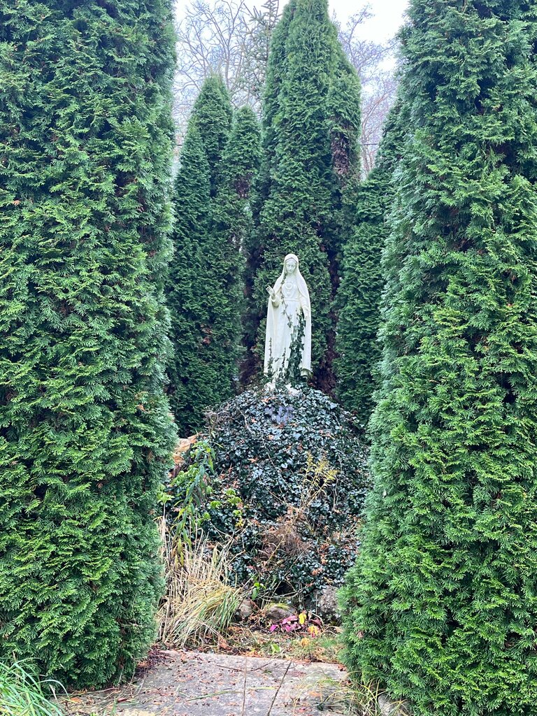 Anıt, heykel Дева Мария, Gorodok, foto