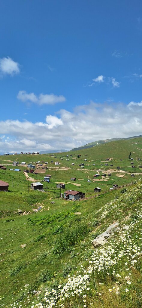Plaj ბეშუმი-Beshumi, , foto