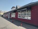 Rosalia Flowers (Álibı Jangeldın kóshesi No:31/1), çiçekçiler  Almatı'dan