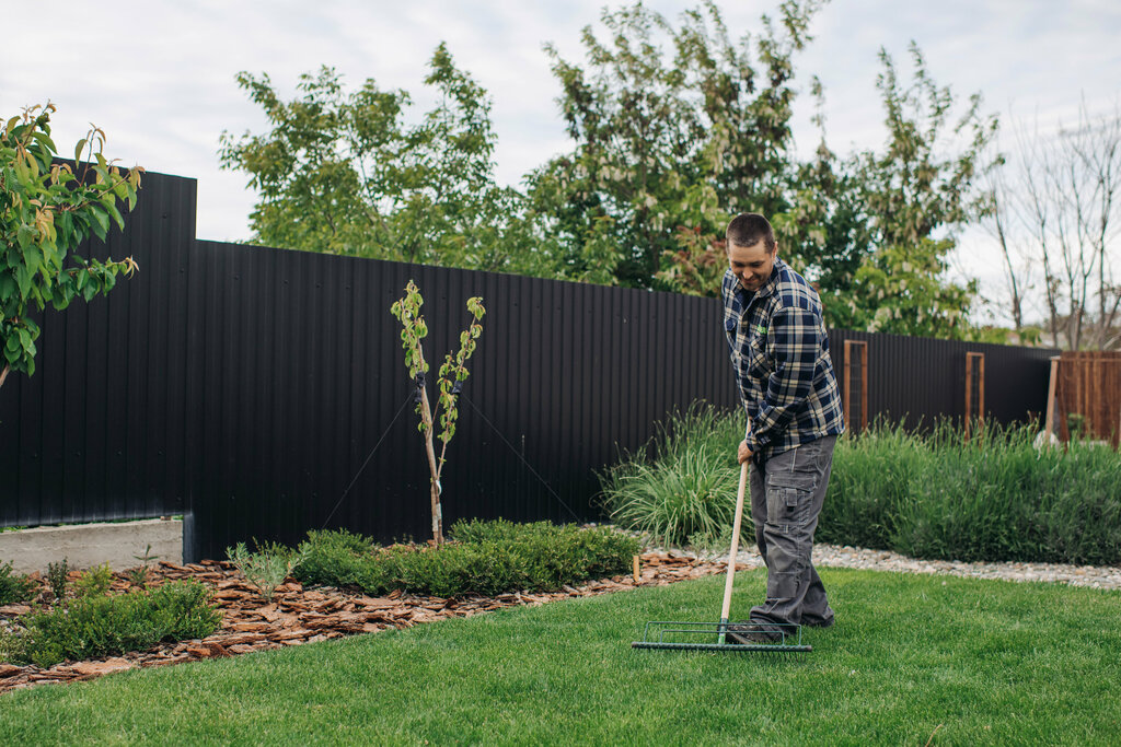 Peyzaj tasarımı Земляк, Sevastopol, foto