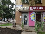 ГосТабак (Moskovskaya Street No:1), tütün, sigara mağazaları  Himki'den