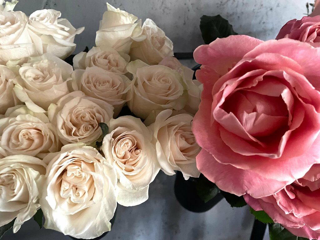 Çiçekçiler Цветы, Saint‑Petersburg, foto