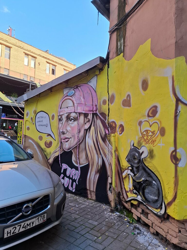 Sokak sanatı Стрит-арт, Saint‑Petersburg, foto