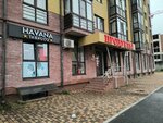 Havana (ulitsa Shamilya Dzhikayeva No:1), tütün, sigara mağazaları  Vladikavkaz'dan