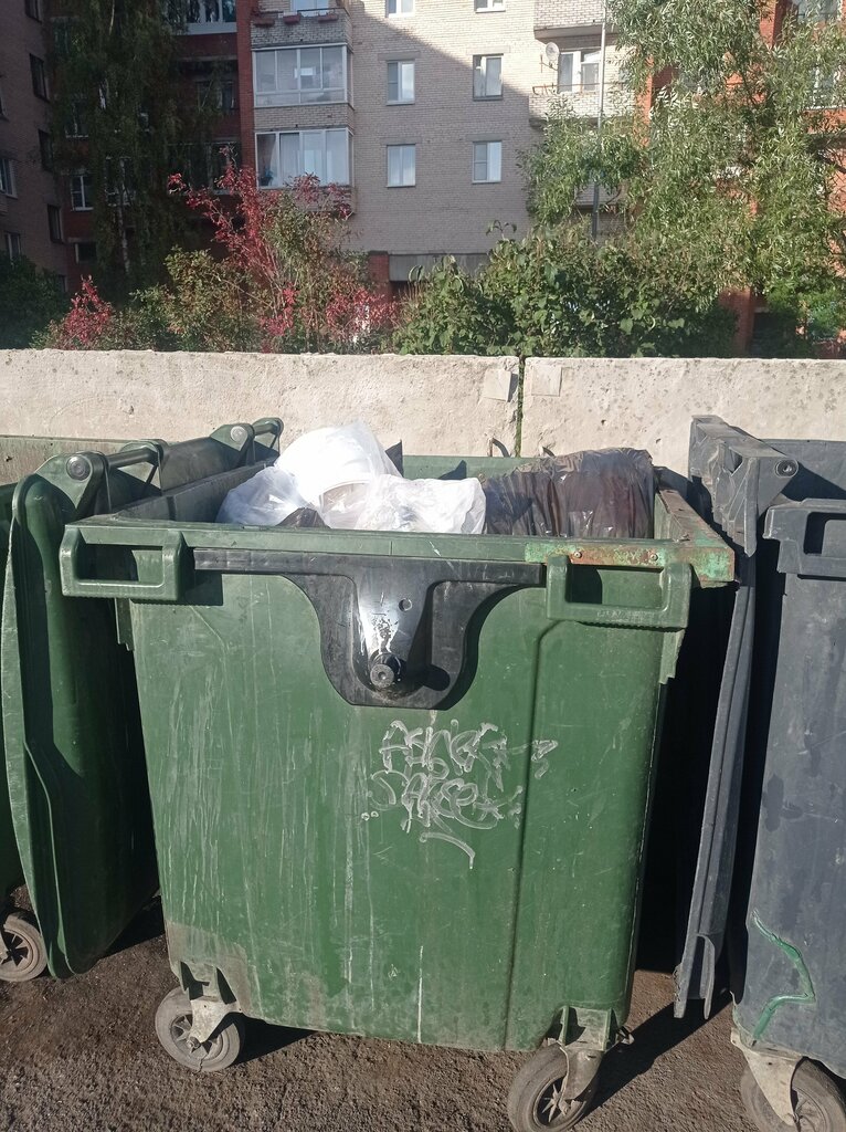 Çöp alanları Trash and garbage disposal area, Peterhof, foto