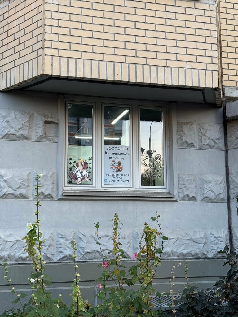 Evcil hayvan kuaförleri Императорские питомцы, Moskova, foto