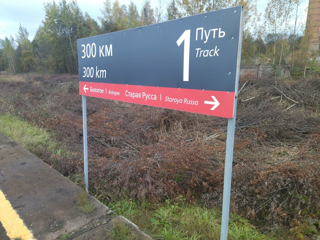 Tren istasyonu остановочный пункт 300 километр, Bologoe, foto