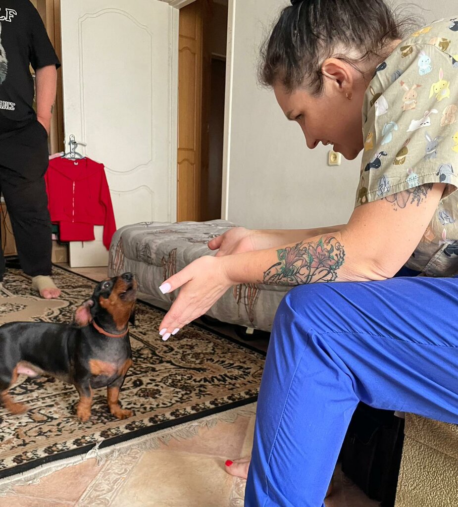 Veteriner klinikleri Белый Бим, Saint‑Petersburg, foto