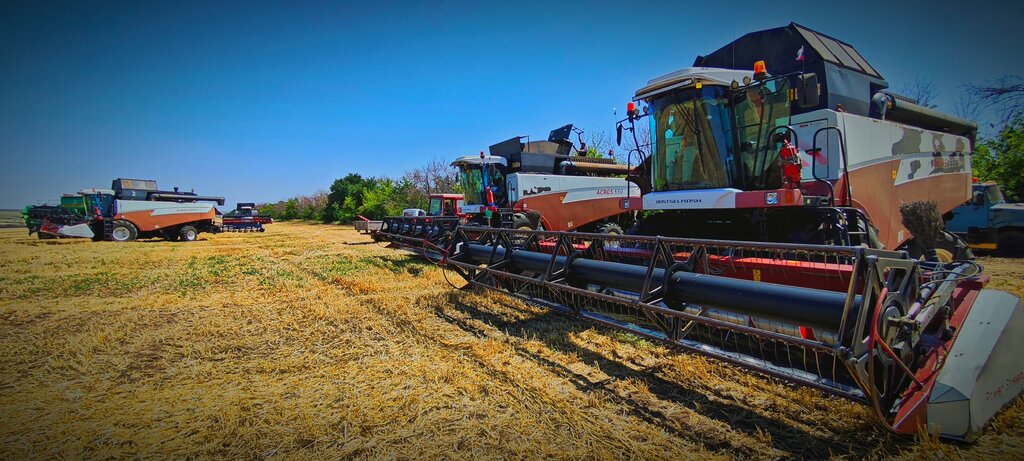 Otomobil servisi Автосервис, Frolovo, foto