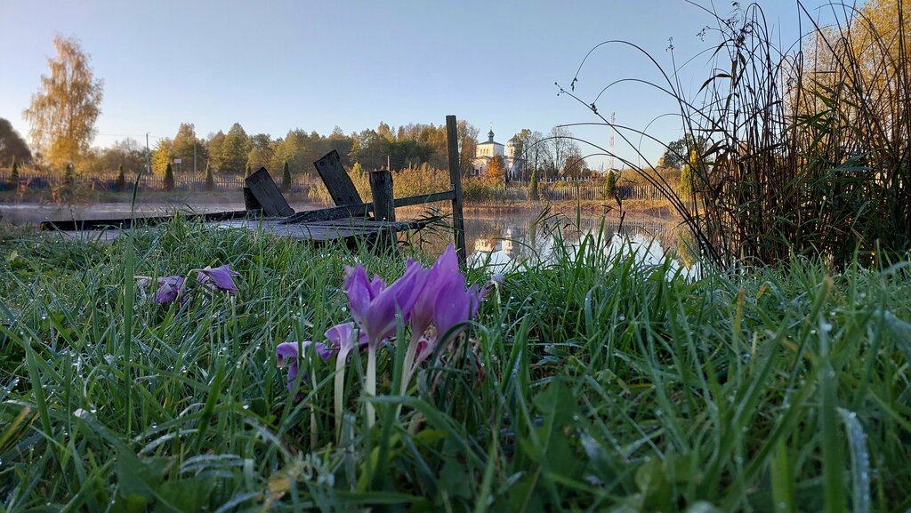 Pınar, çay Spring, stream, Mogiliovskaya oblastı, foto