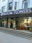 Bloom Flowers (Islam Karimov Street No:235), çiçekçiler  Karşı'dan