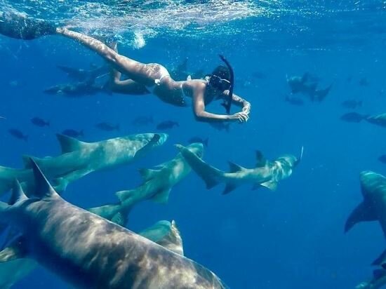 Otel Vaali Maldives Island Escapes & Dive, , foto