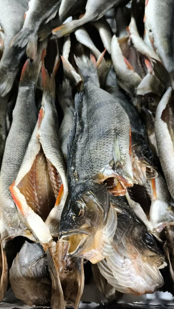 Bar Убежище, Kirovsk, foto