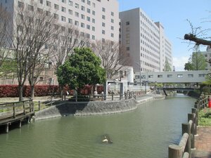 Okawa Riverside Hotel (Saga Prefecture, Saga), otel