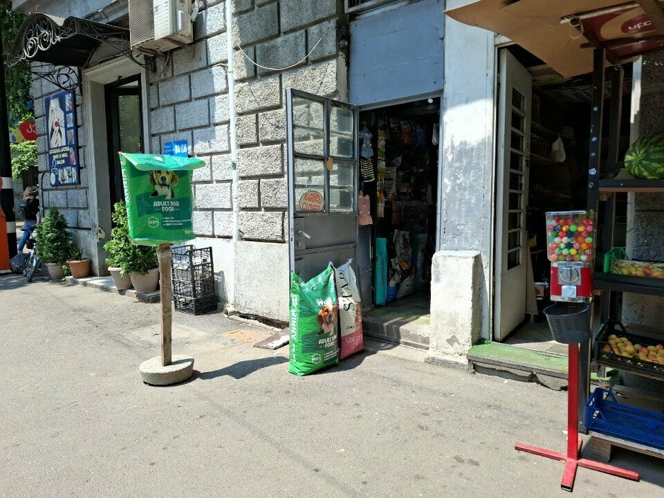 Petshop ზოო, Tiflis, foto
