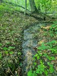 Spring, stream (Stavropol Territory, Zheleznovodsk), pınar, çay  Zheleznovodsk'tan