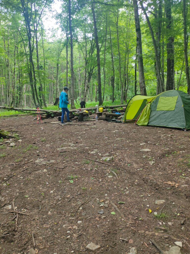 Piknik alanı Место для лагеря, Adıge Cumhuriyeti, foto