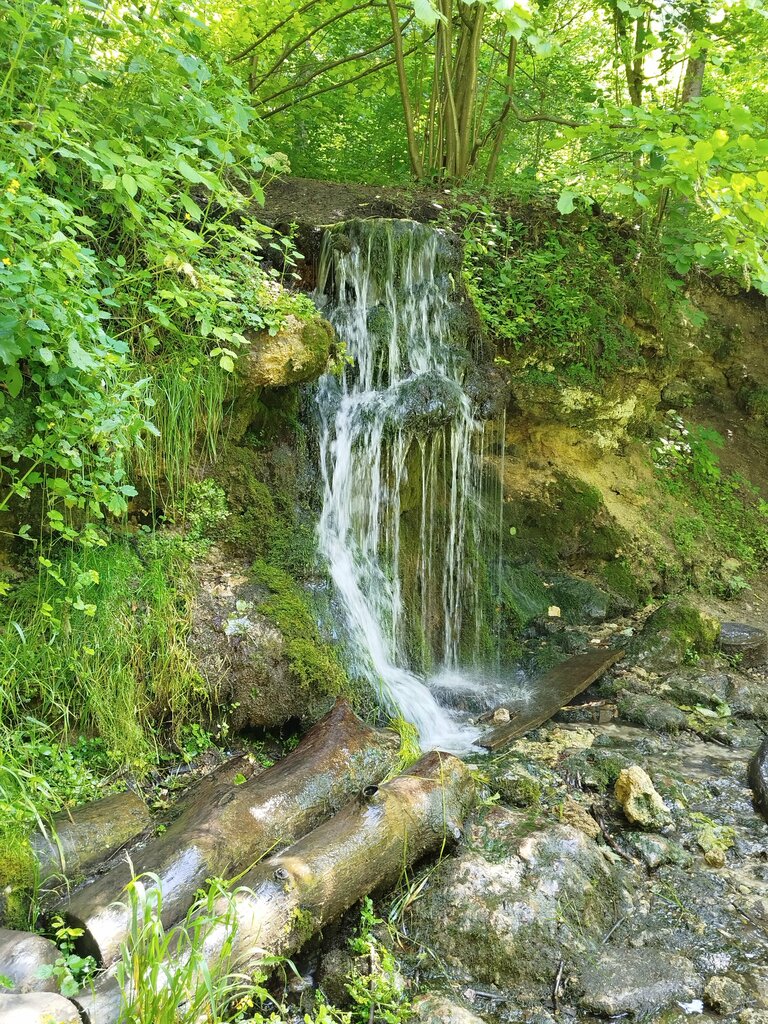 Turistik yerler Пущинский пешеходный экологический маршрут, Puşçino, foto