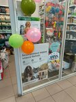 Зоомагазин (Stantsionnaya Street No:3к2), petshop  Mytişçi'den