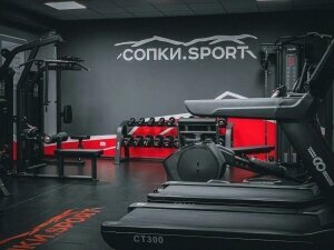 Spor ve jimnastik salonları Сопки. sport, Murmanskaya oblastı, foto