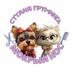 Мокрый нос (Sportivnaya Street No:18Б), evcil hayvan kuaförleri  Tolyatti'den (Togliatti'den)
