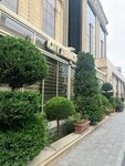 City Terrace Lounge (Fakhraddin Musaev Street No:59A), kafe  Bakü'den