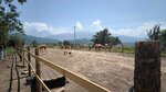 Almaty Ranch (Almaty, Bishkekskaya ulitsa), at ve binicilik kulüpleri  Almatı'dan