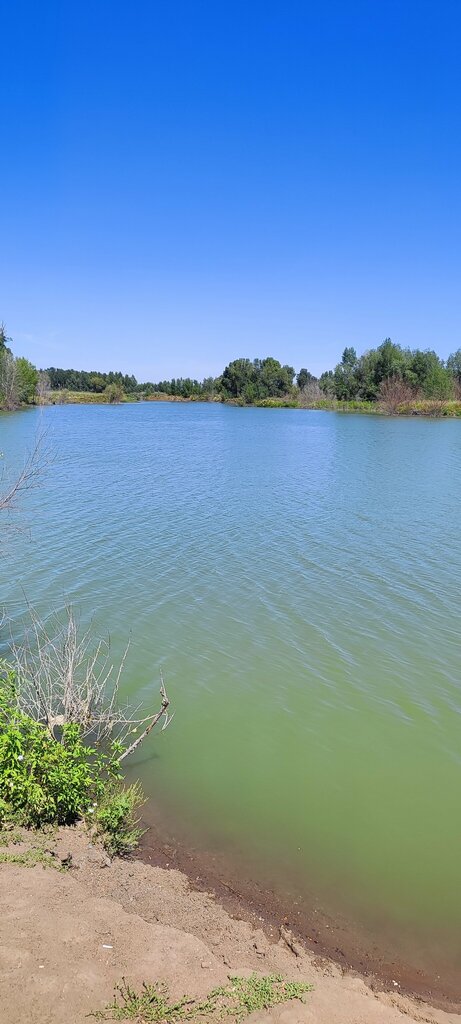 Plaj Пляж, Orenburg, foto