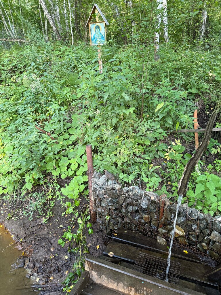 Pınar, çay Spring, stream, Kurganskaya oblastı, foto