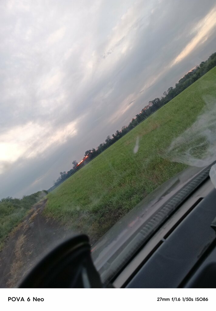 Bahçe Яблочный сад, Voronejskaya oblastı, foto